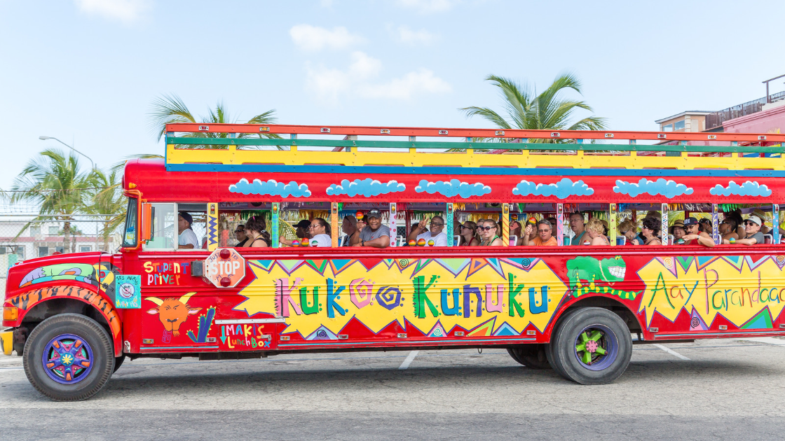 Top Excursions - Viva Tours